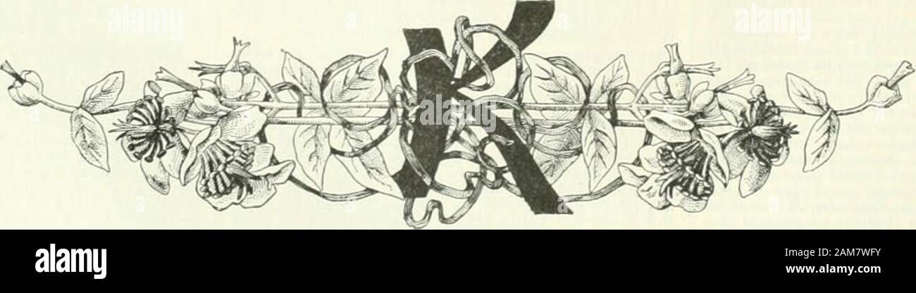 Instrument universel hi-res stock photography and images - Alamy