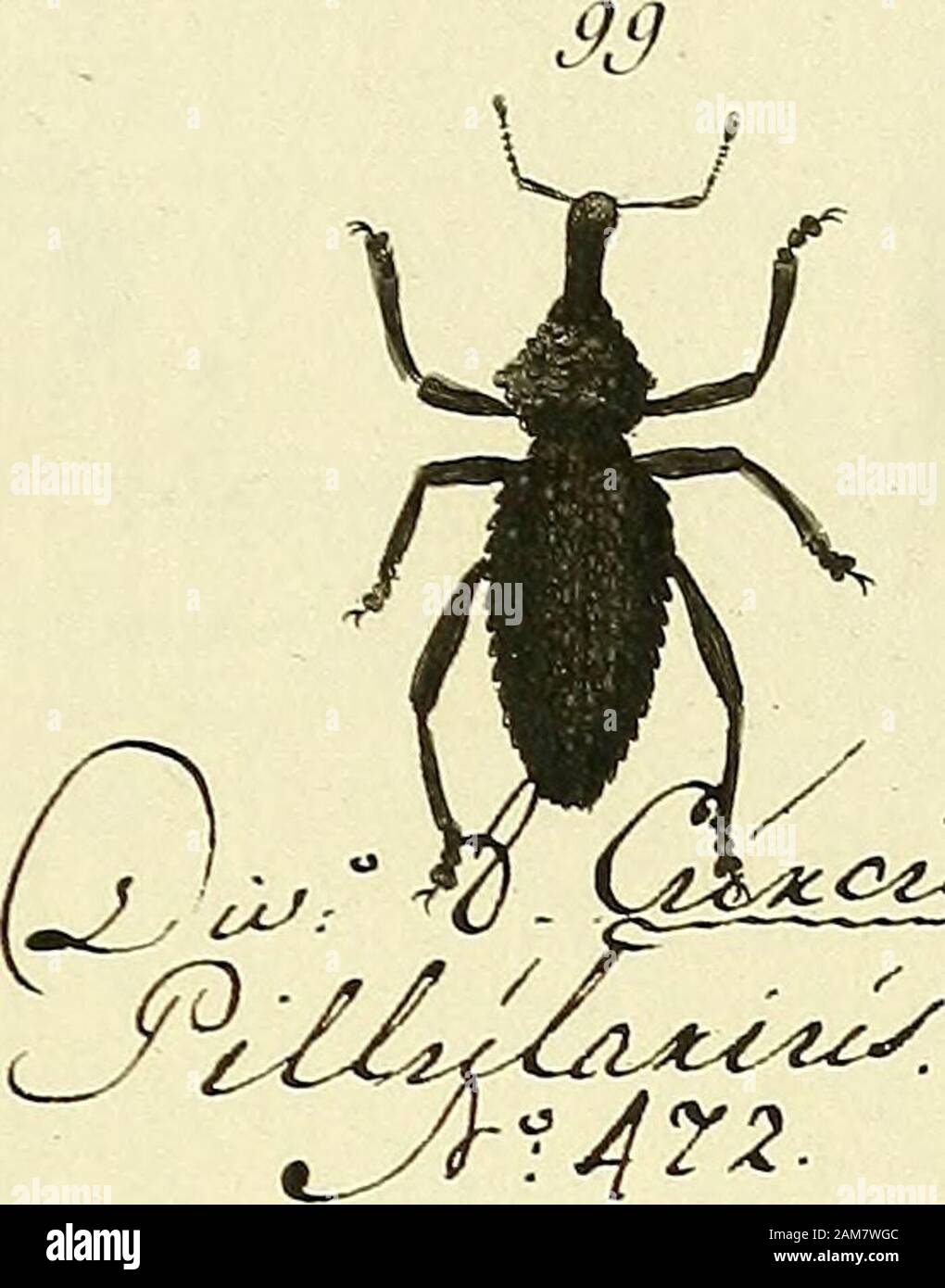 Entomologie, ou, Histoire naturelle des insectes : avec leurs ...