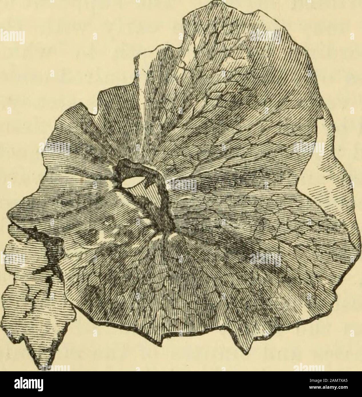 Punched in stomach hi-res stock photography and images - Alamy