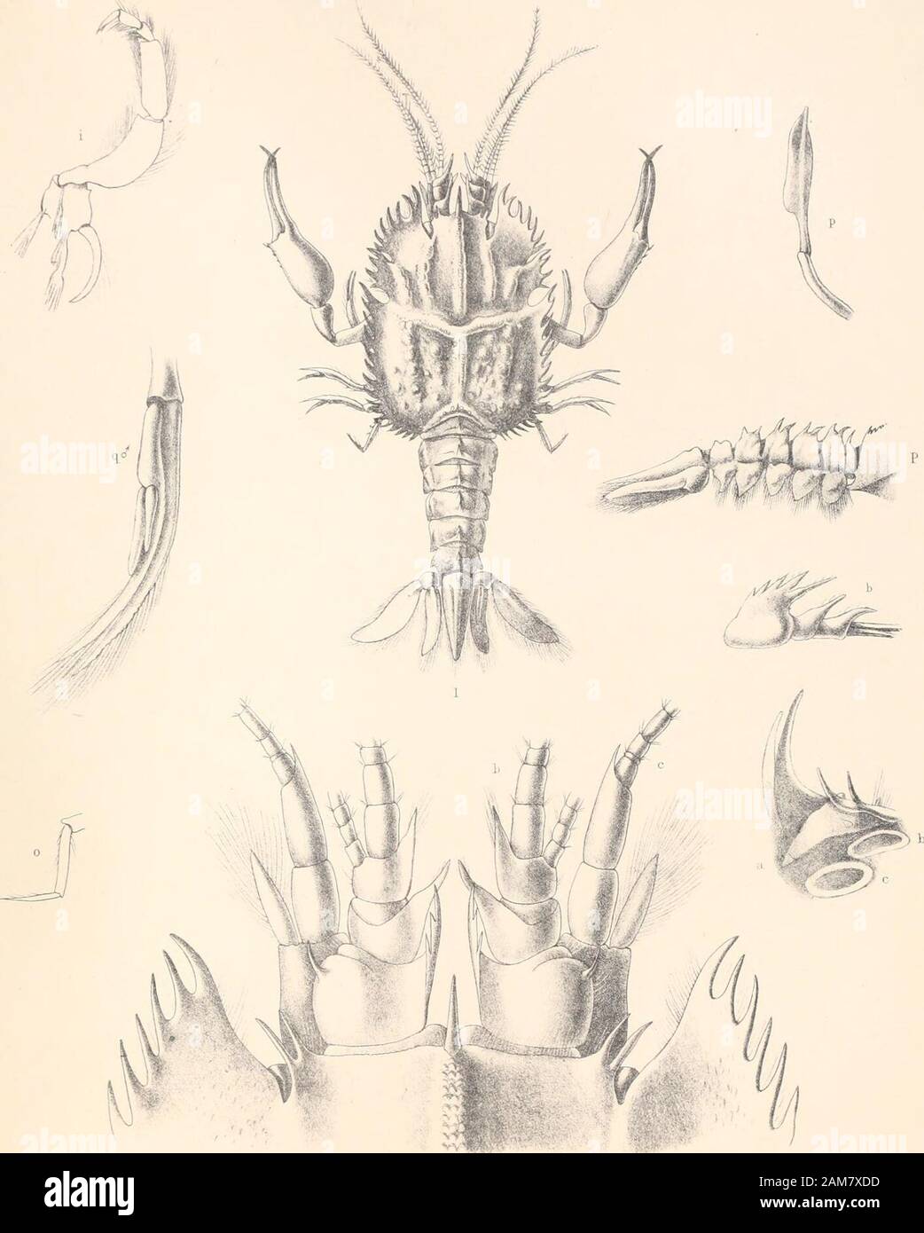 1873 n a en hi-res stock photography and images - Alamy