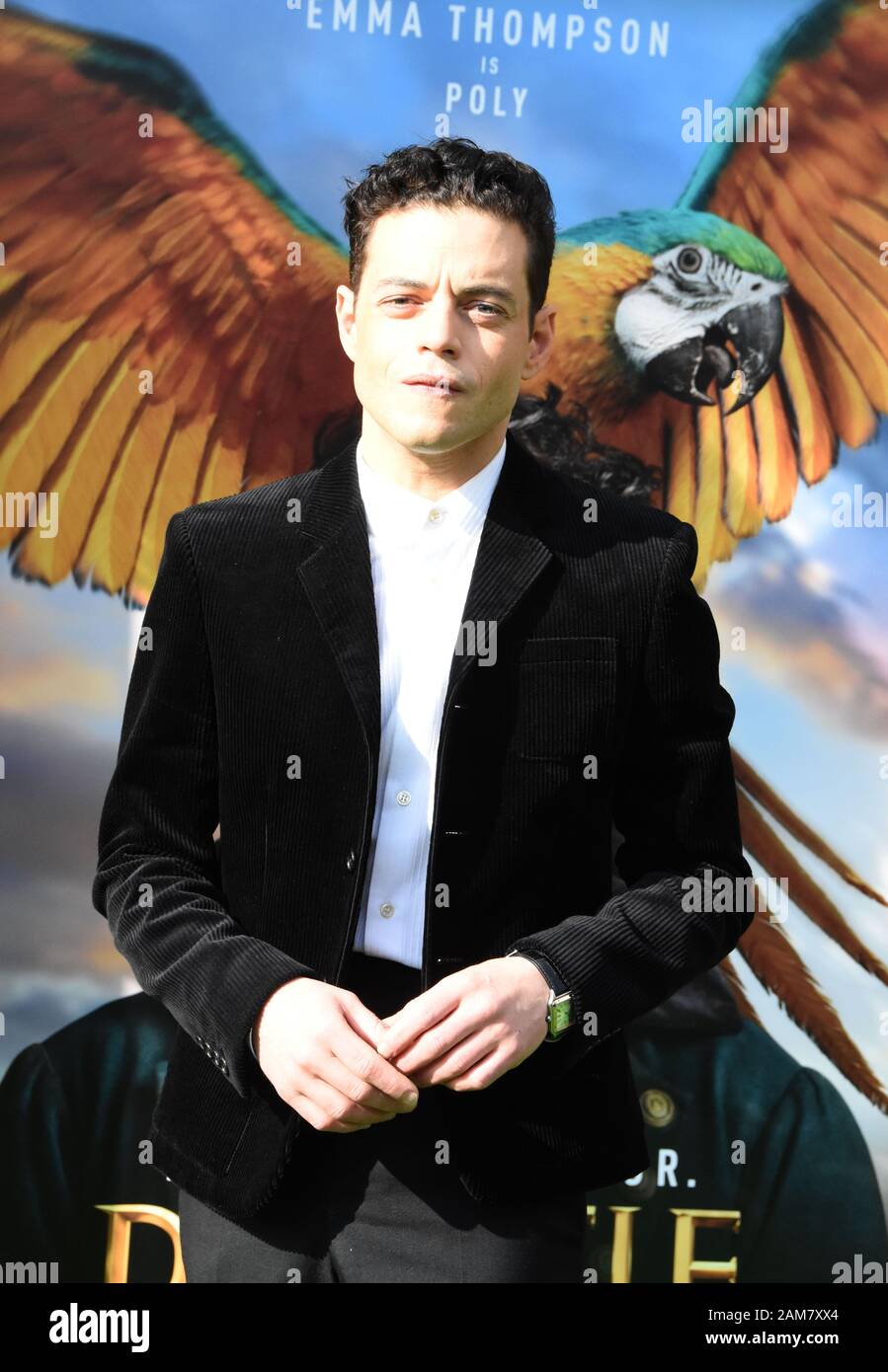 Westwood, California, USA 11th January 2020 Actor Rami Malek attends ...