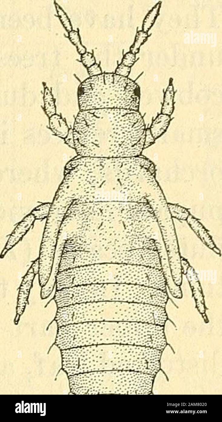 Bulletin of the U.SDepartment of Agriculture . he vertex along ...