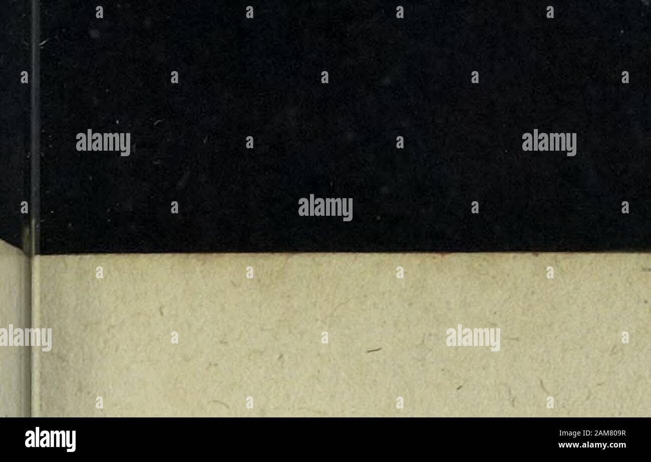 Corollarium hi-res stock photography and images - Alamy