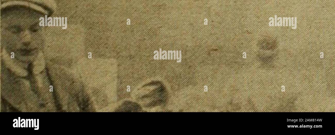 Angus cows shorthorn hi-res stock photography and images - Alamy