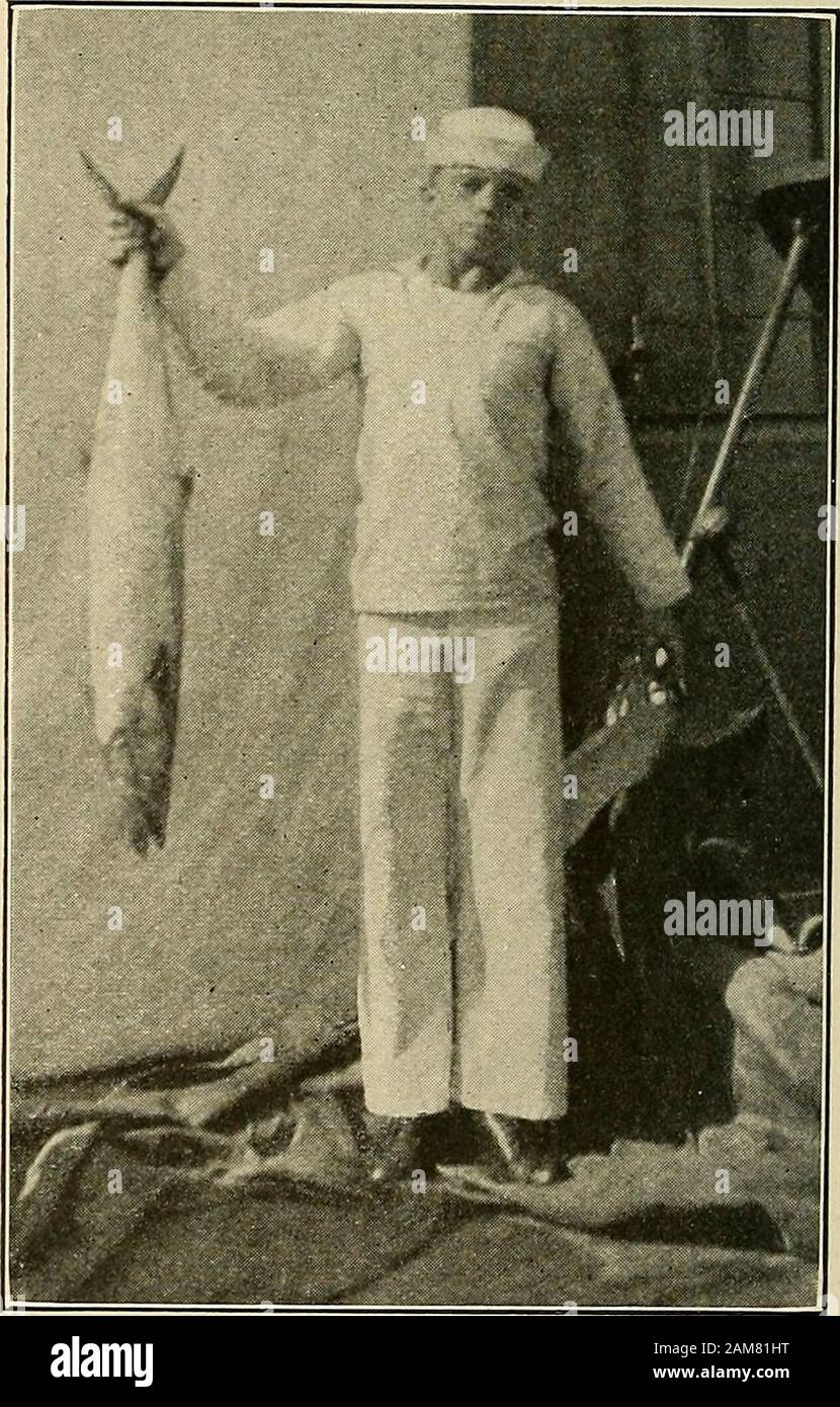 Fish lore hi-res stock photography and images - Alamy