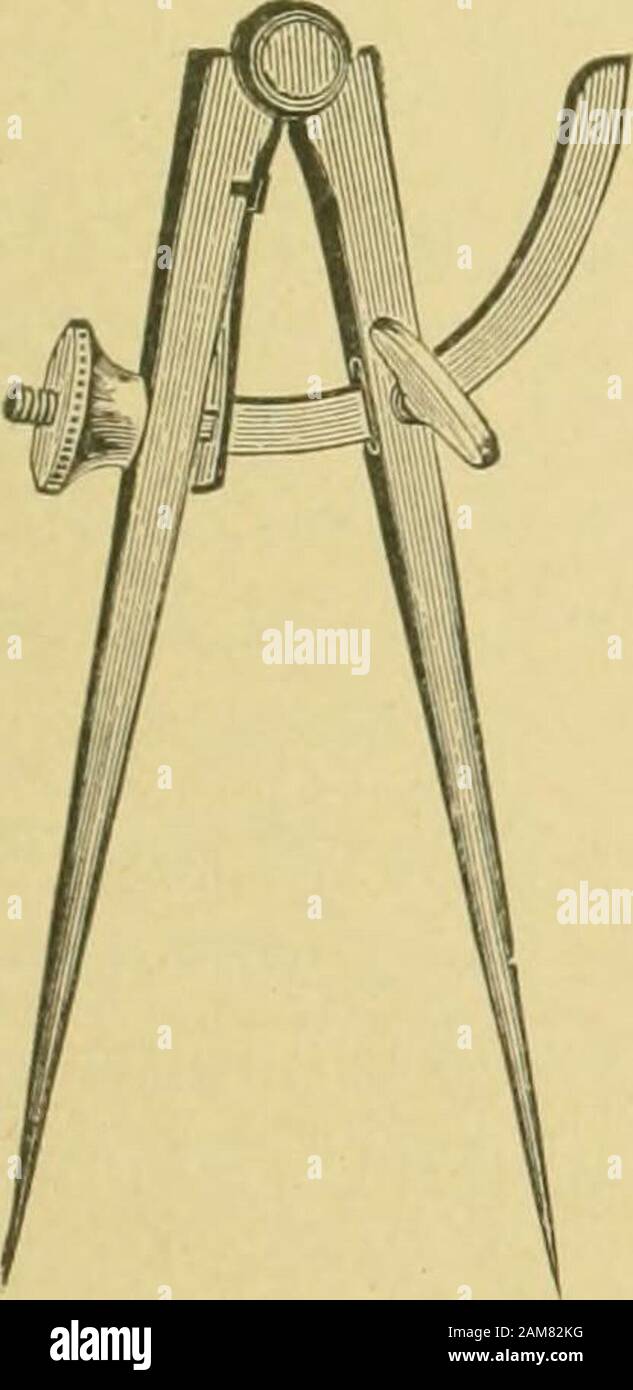 Horse on 2 legs hi-res stock photography and images - Alamy