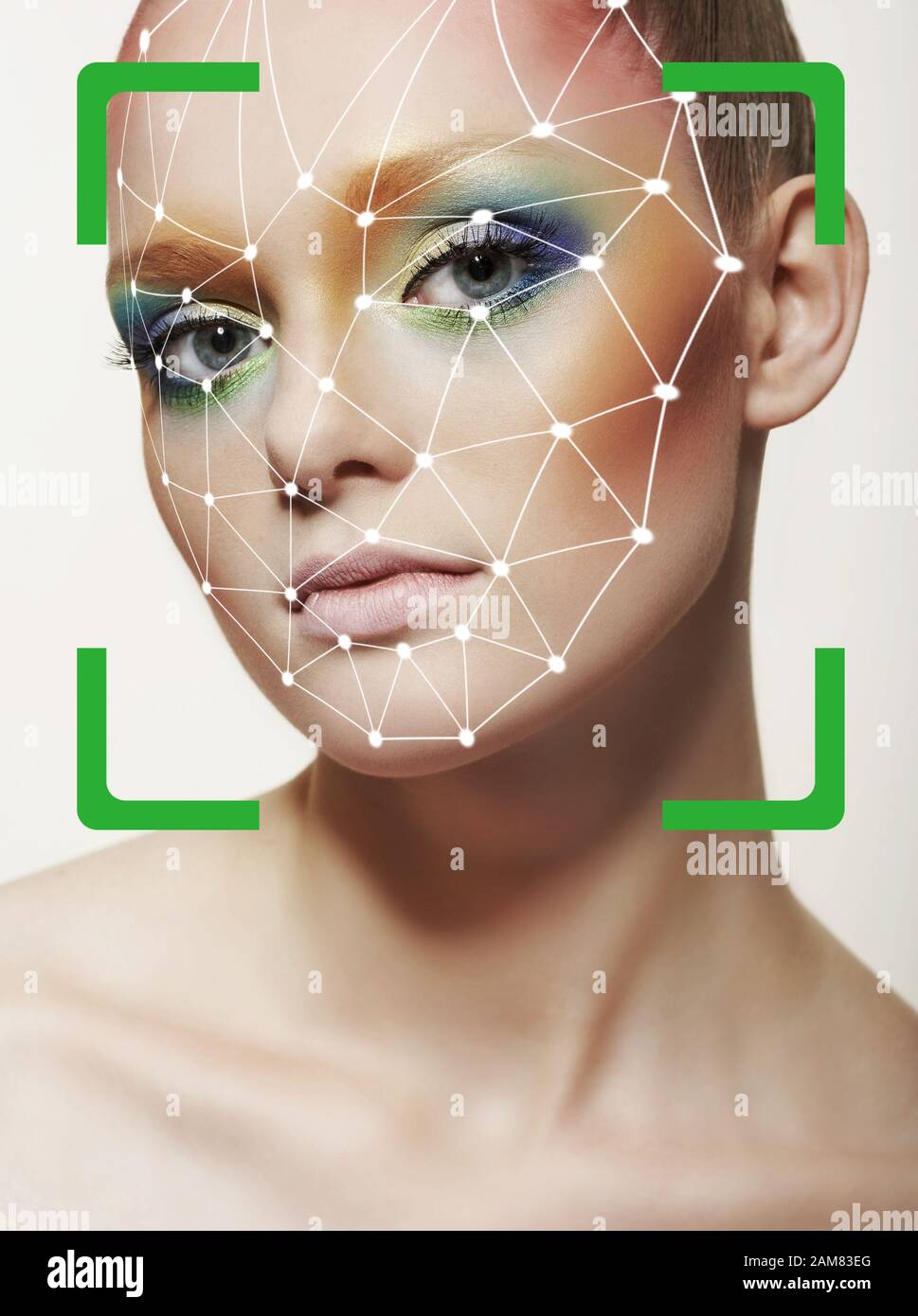 Biometric verification hi-res stock photography and images - Alamy