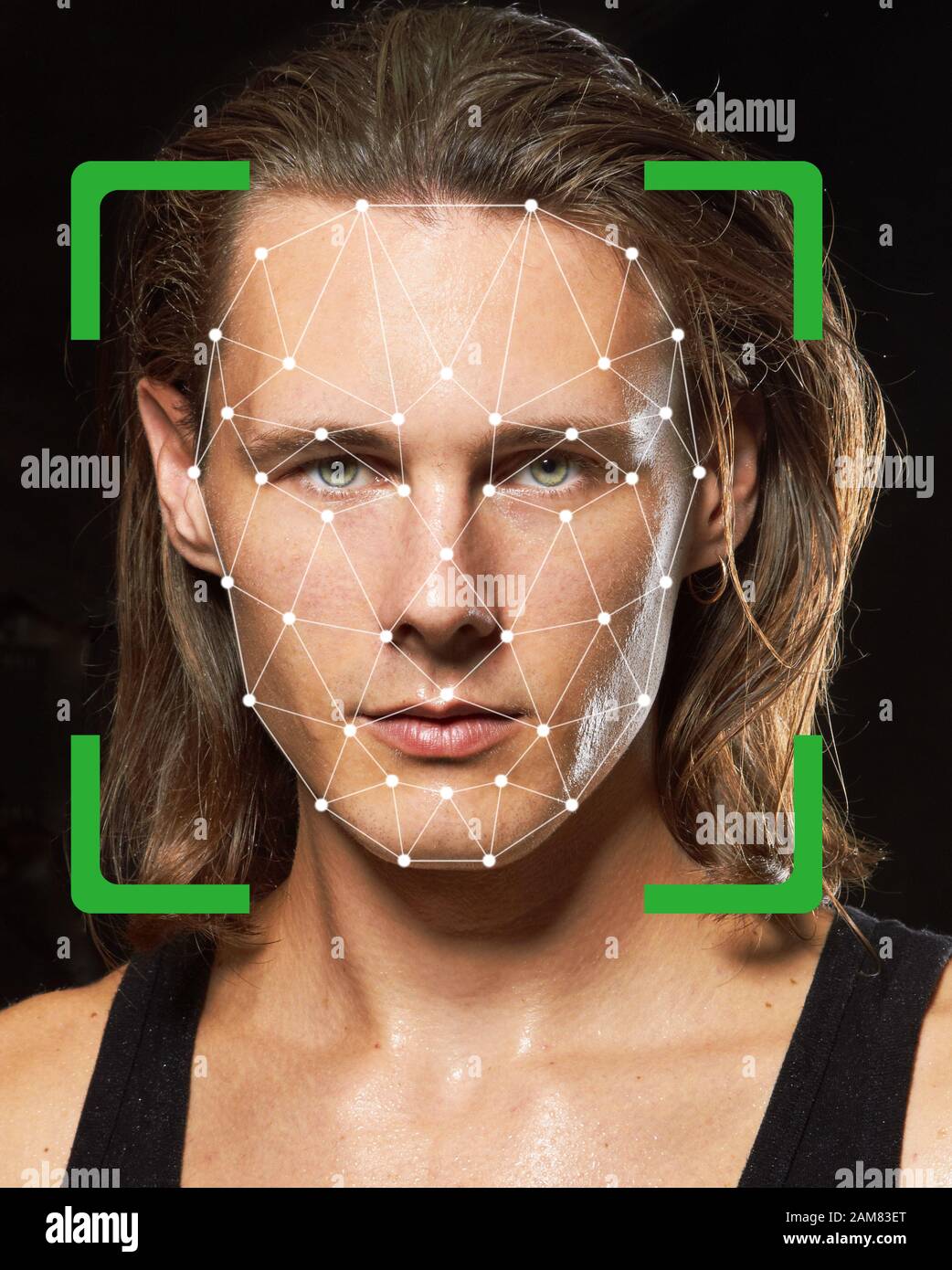 Biometric Verification High Resolution Stock Photography and Images - Alamy