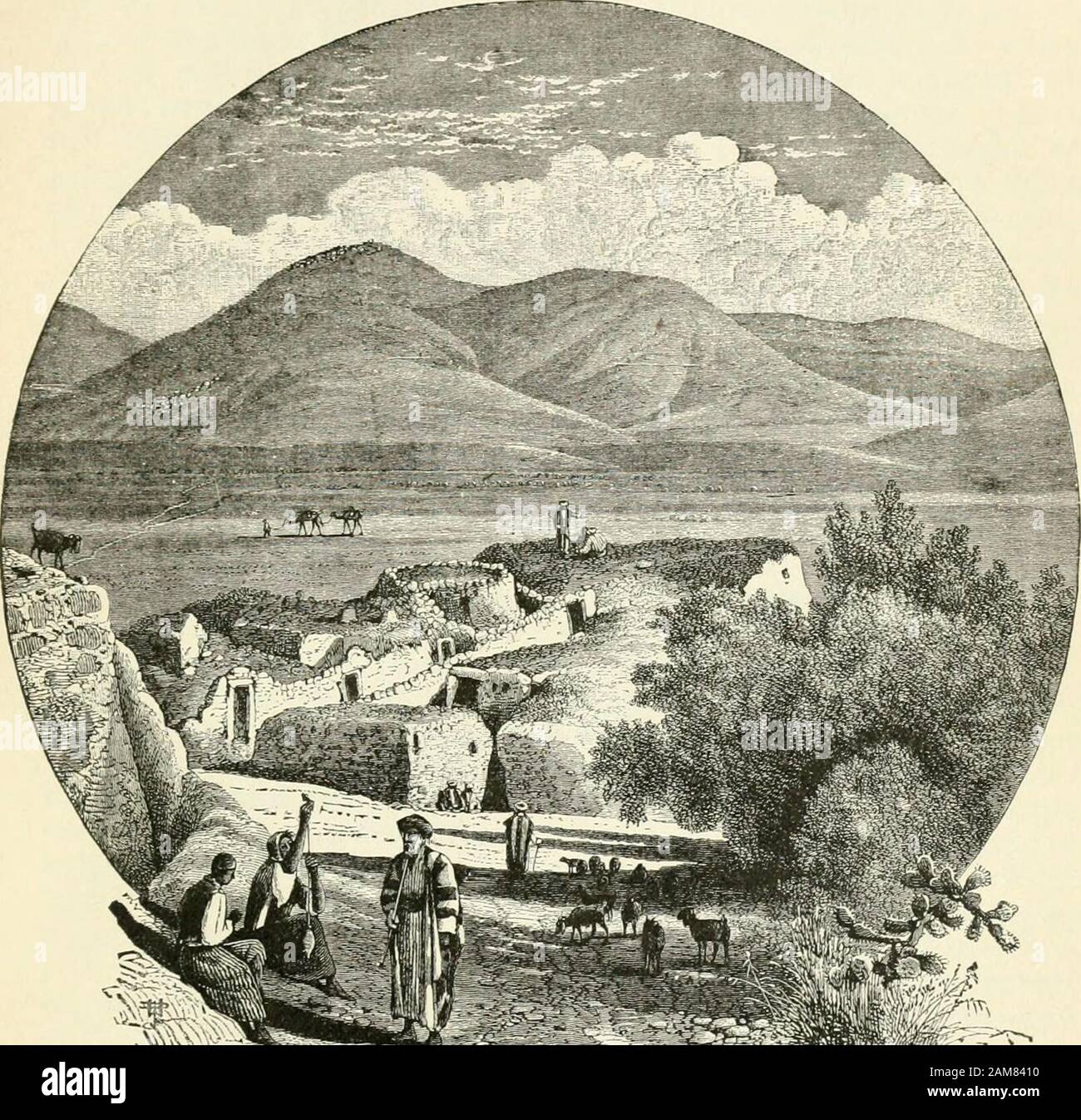 Shunem hi-res stock photography and images - Alamy