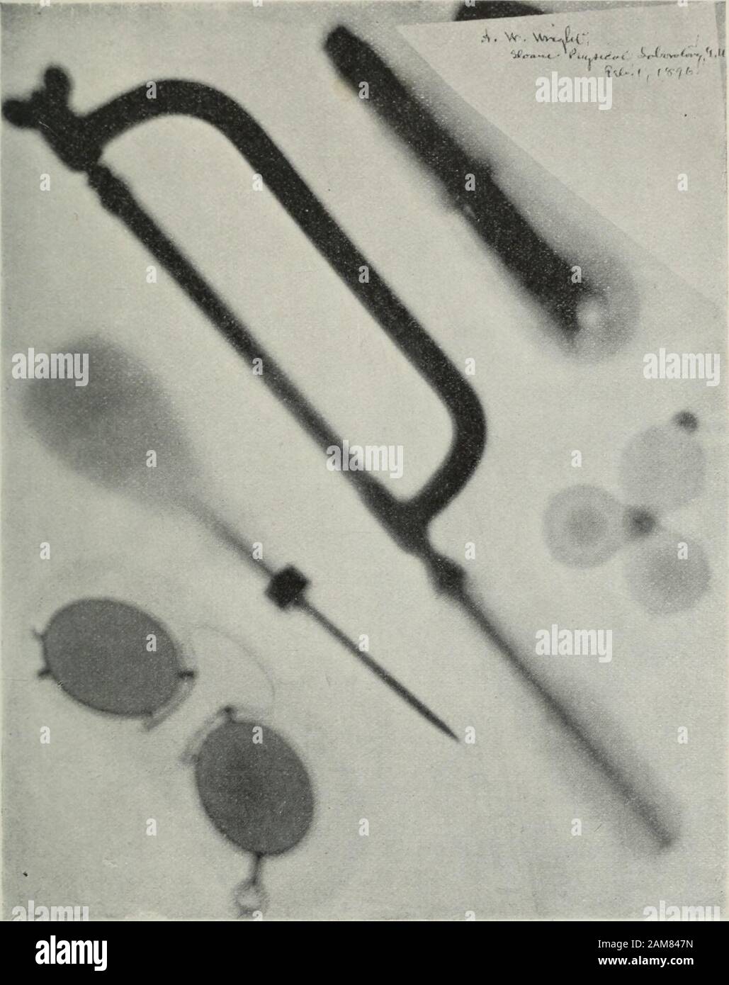 Anthony's photographic bulletin for .. . Living Human Hand with Ring on ...