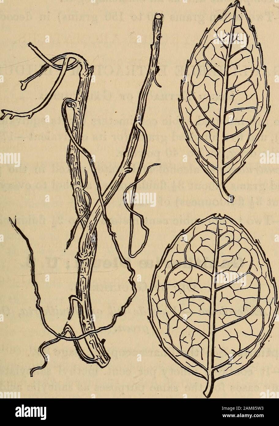 E 120 34 24 hi-res stock photography and images - Alamy