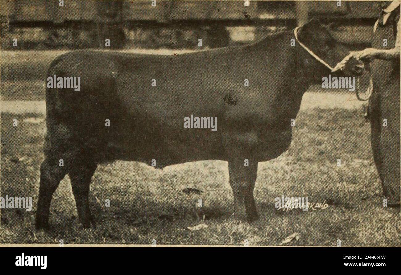 Miss hooper miss hooper hi-res stock photography and images - Alamy