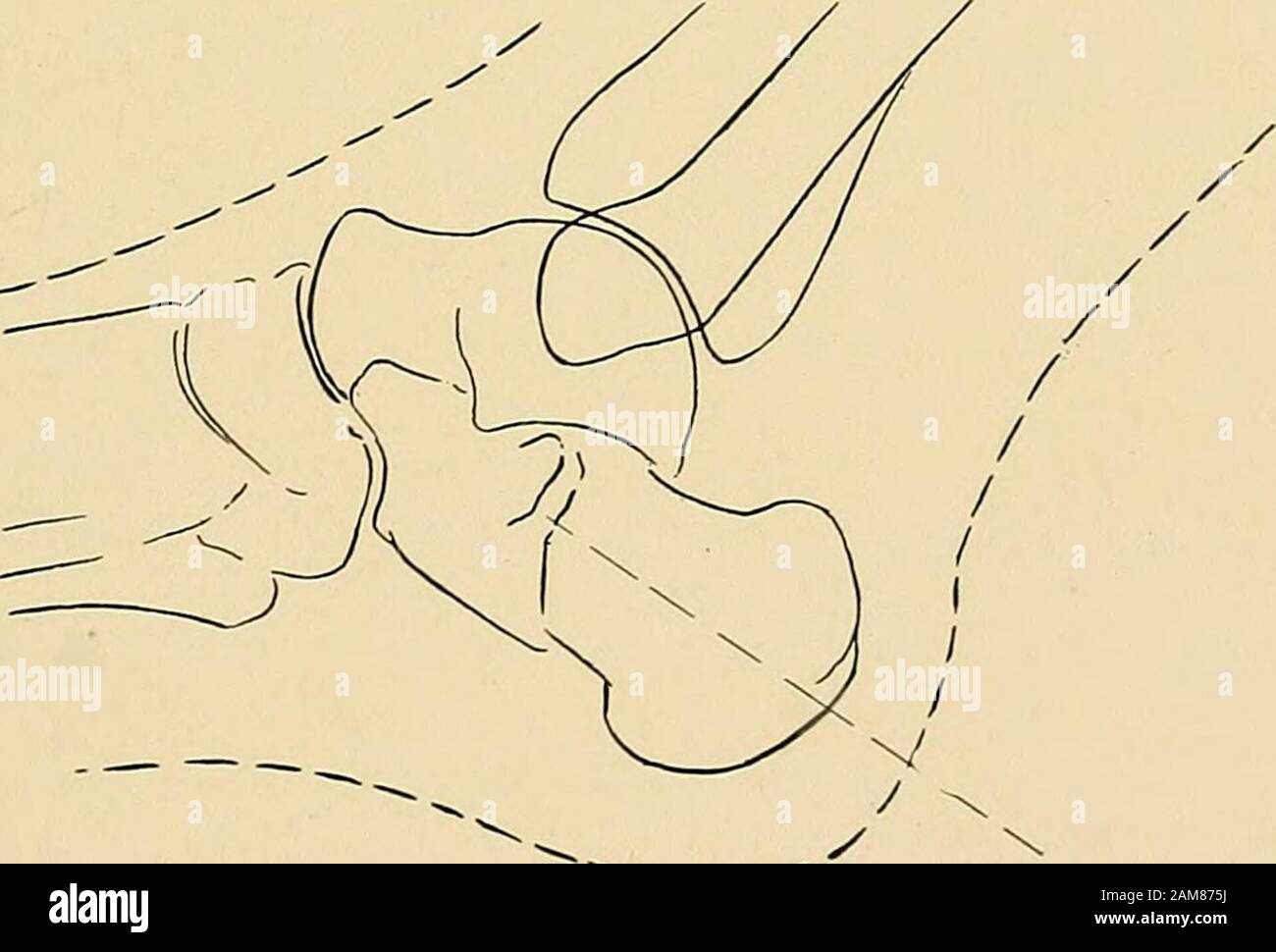 Ijones hi-res stock photography and images - Alamy