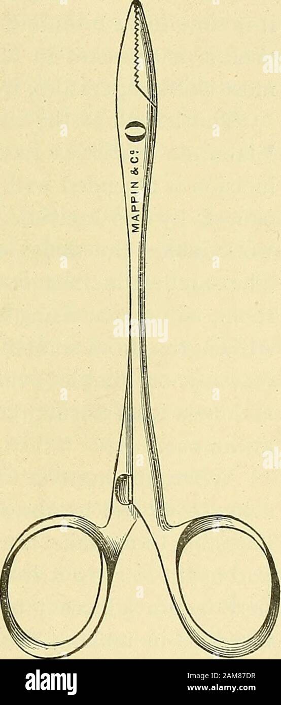 Abdominal surgery . ent to the scalpel. FewEnglish surgeons make a ...