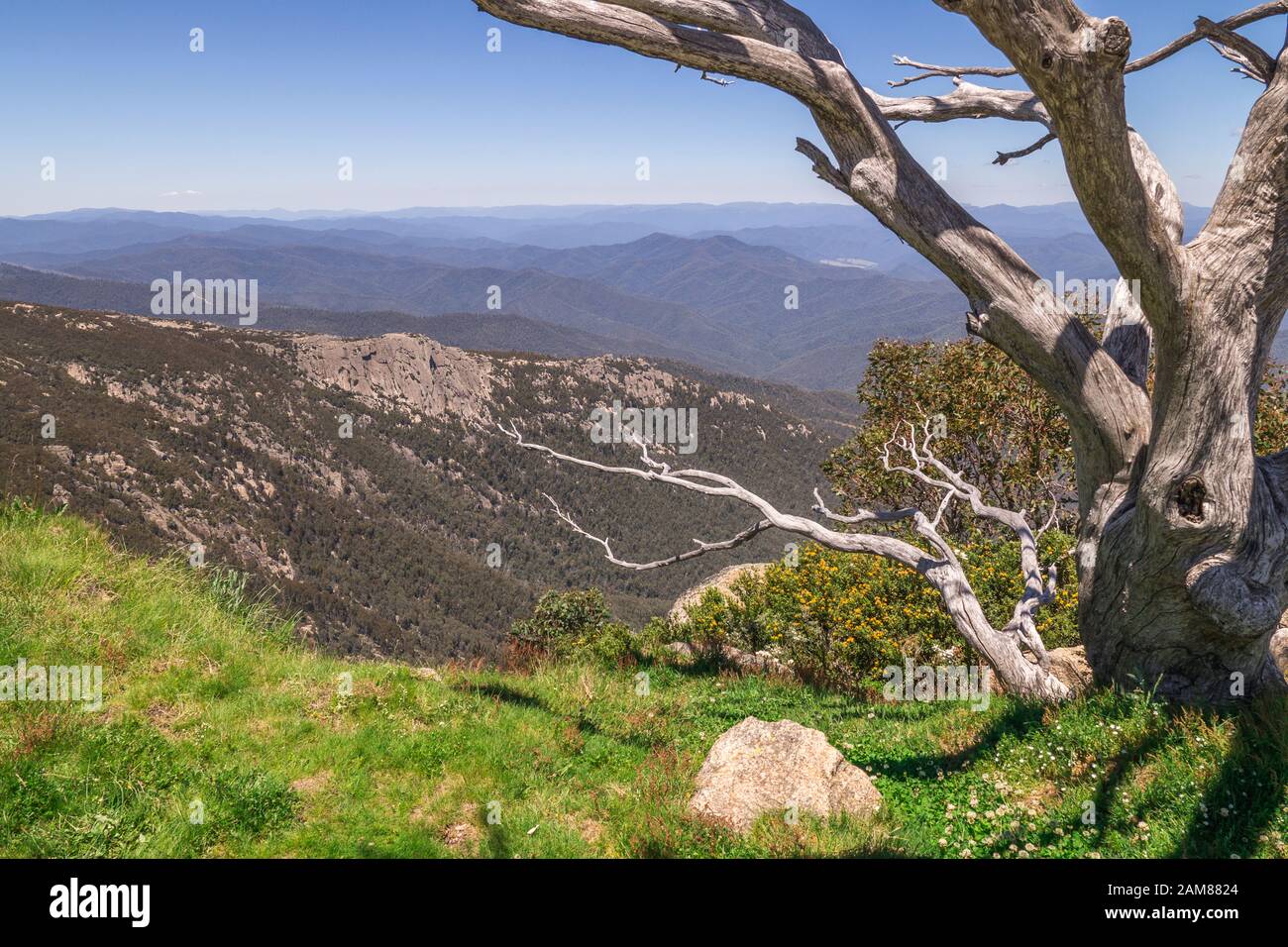 Views of Australia Alpine National Park before 2020 forest fires ...