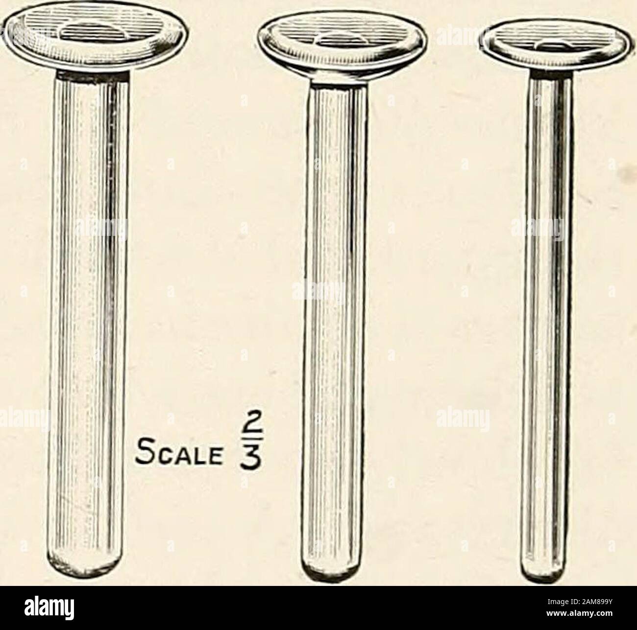 Nulliparous hi-res stock photography and images - Alamy