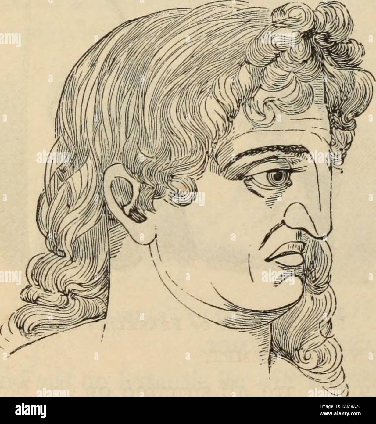 Large Jaw Muscles High Resolution Stock Photography and Images - Alamy