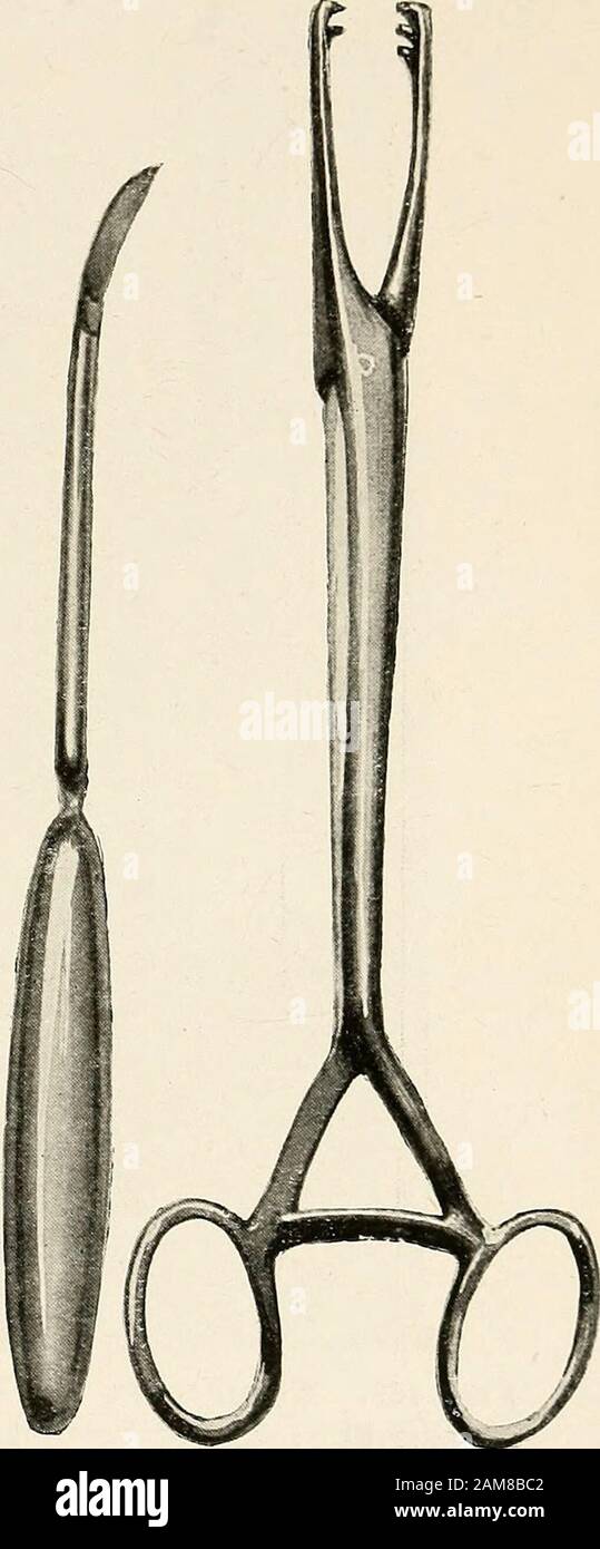 Gynaecology for students and practitioners . Fig. 460. Instruments used ...
