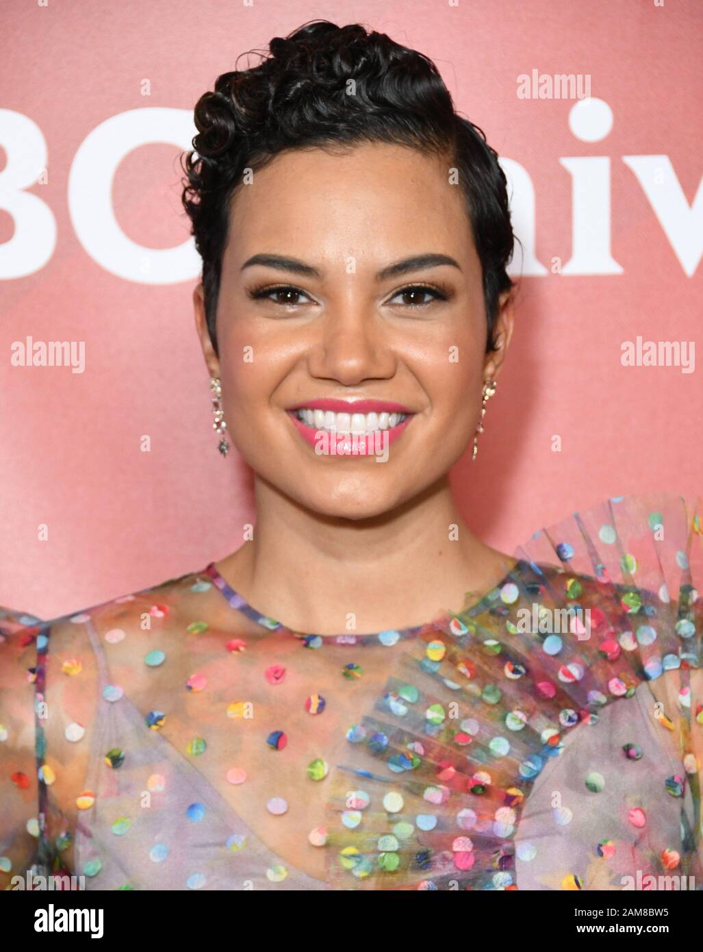 Nbcuniversal Winter Press Tour High Resolution Stock Photography and ...