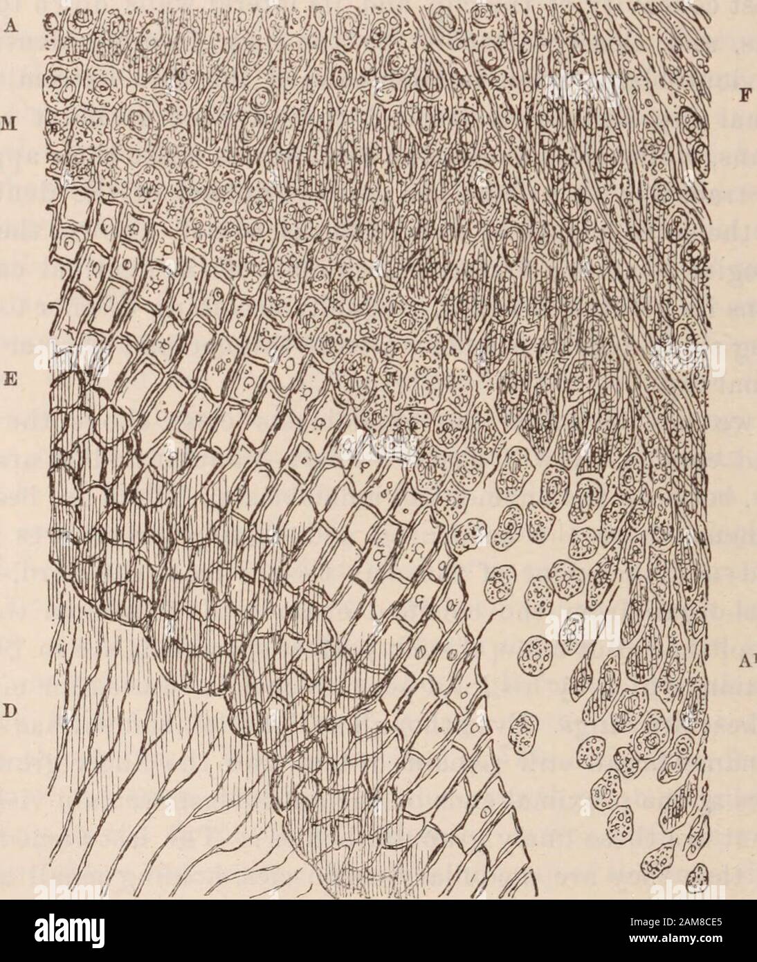 Enamel rods hi-res stock photography and images - Alamy