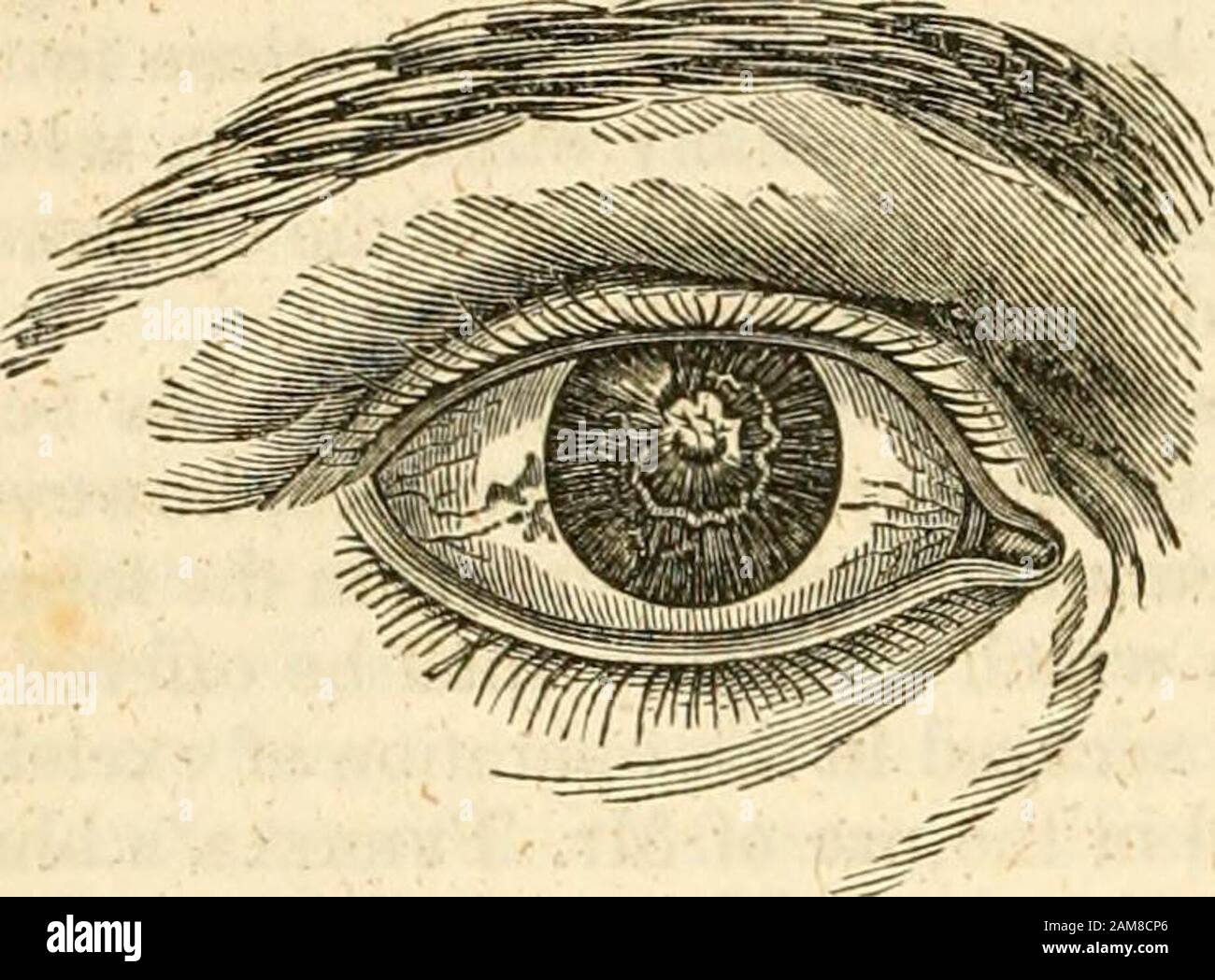 A treatise on the diseases of the eye . are three principal methodsof ...