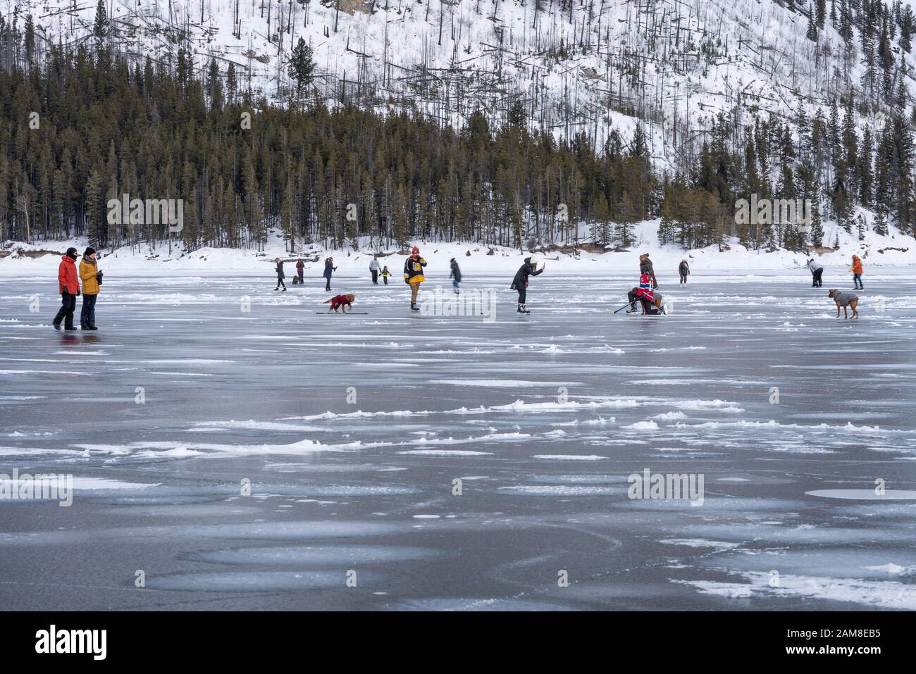 Banff National Park, Alberta, Canada – January 11, 2020: a group of ...