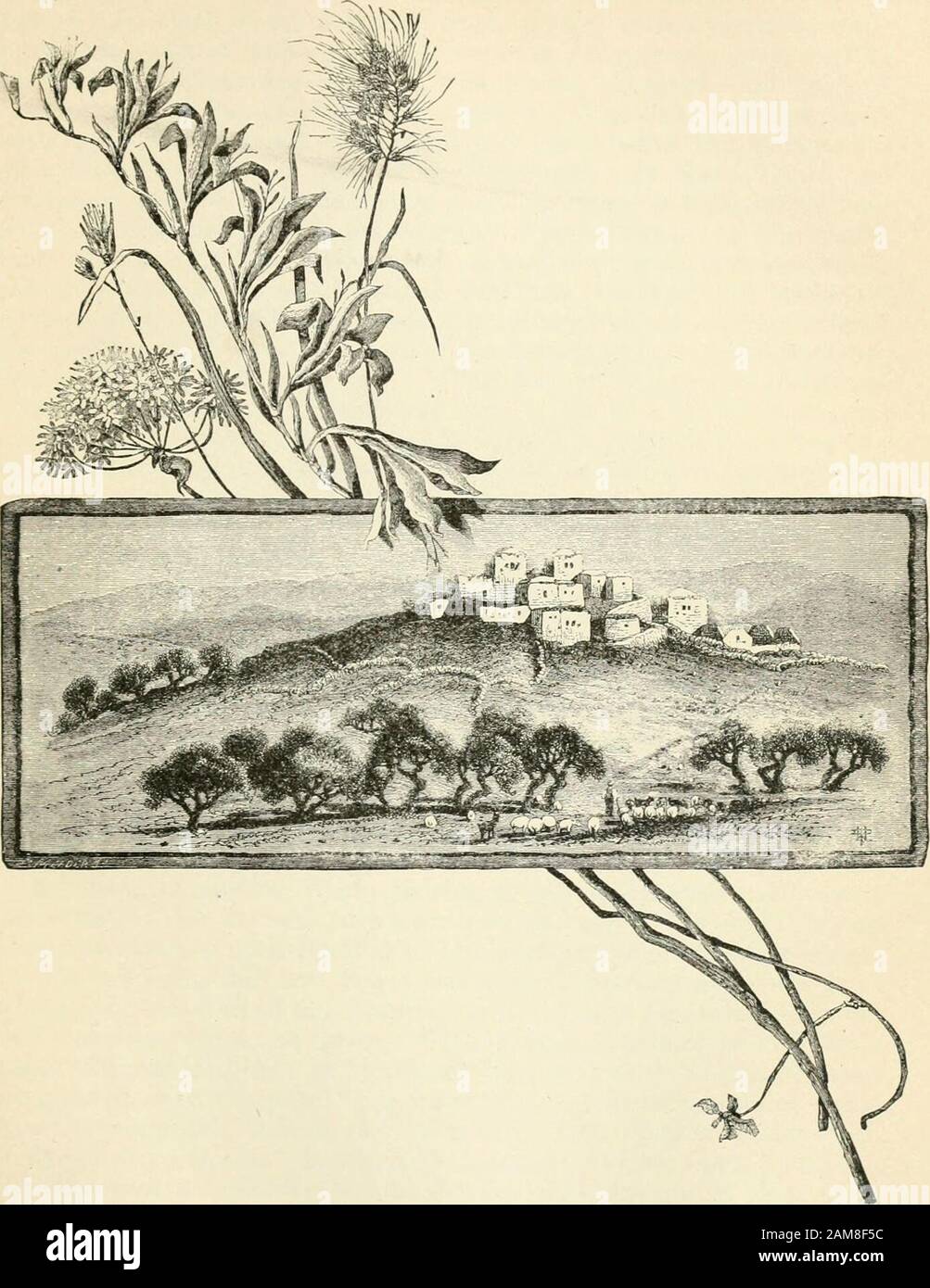 Anathoth hi-res stock photography and images - Alamy