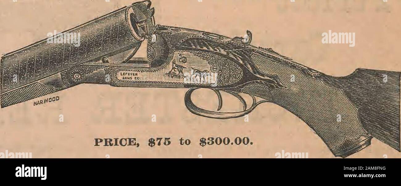 Hammerless gun hi-res stock photography and images - Alamy