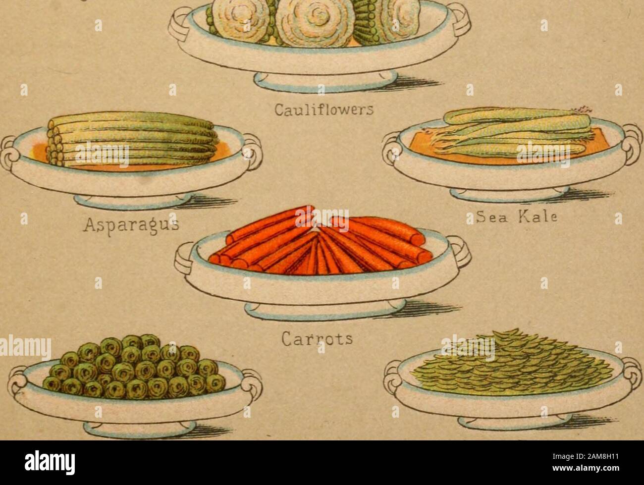 Making trench for beans hi-res stock photography and images - Alamy