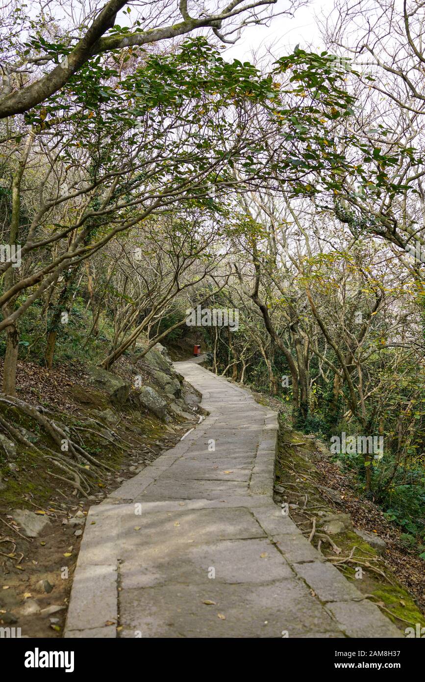 Zhejiang, China, November, 2018. The road lead to the park. Mount Putuo ...