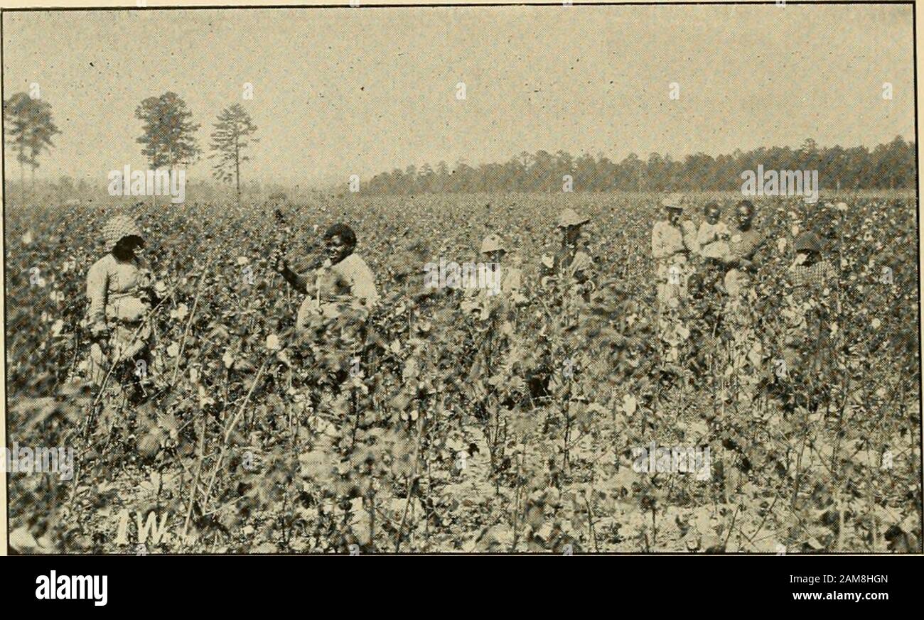 Ba Morgan High Resolution Stock Photography and Images - Alamy