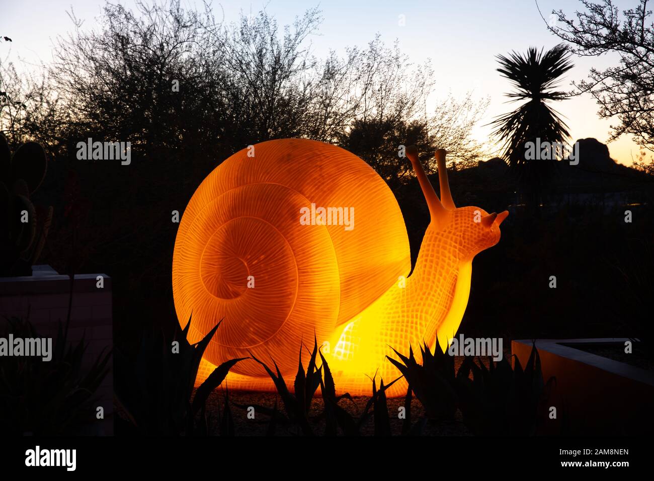 Plastic Snails light up, Early evening at the Desert Botanical Gardens ...