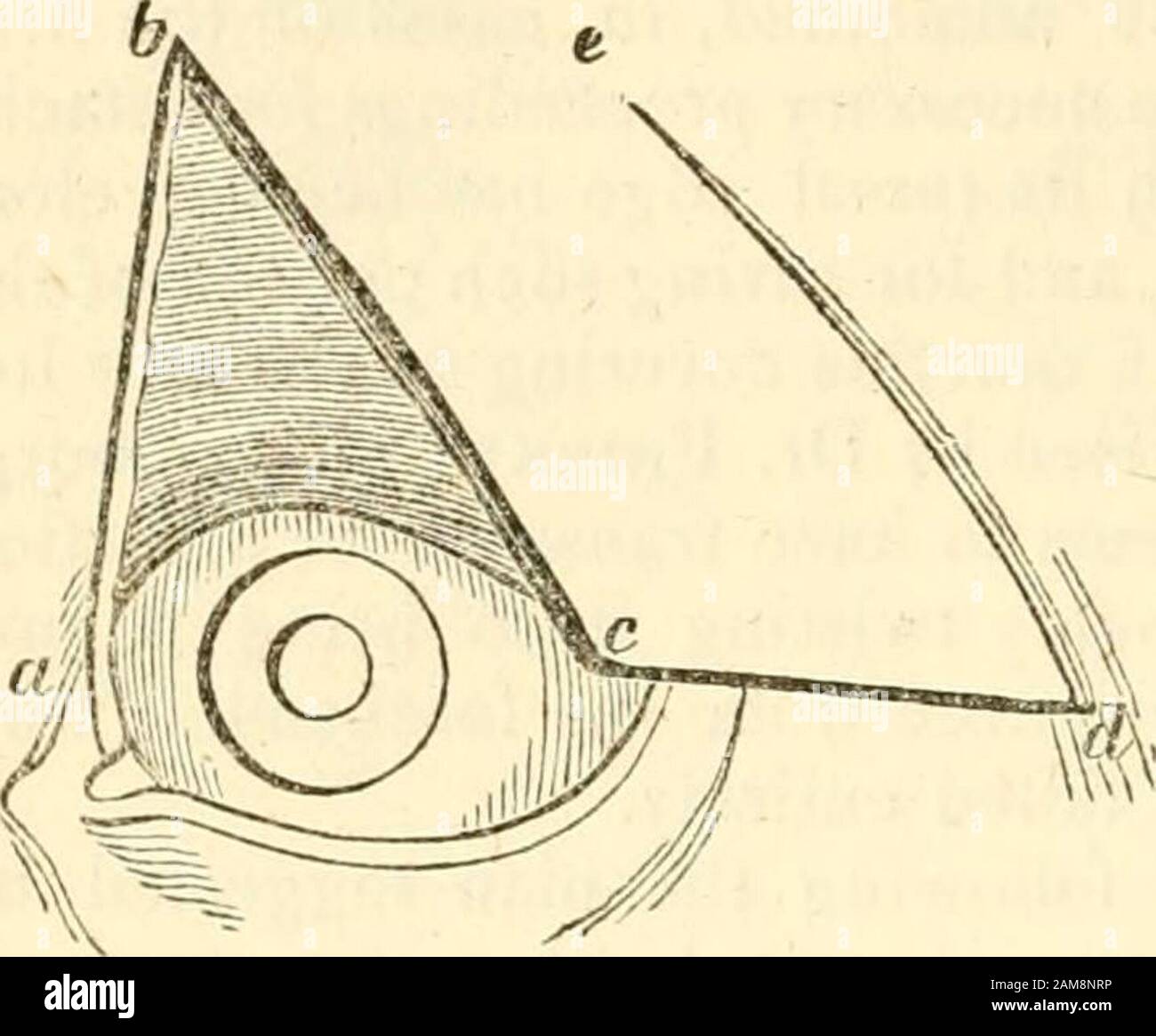 Operationen hi-res stock photography and images - Alamy