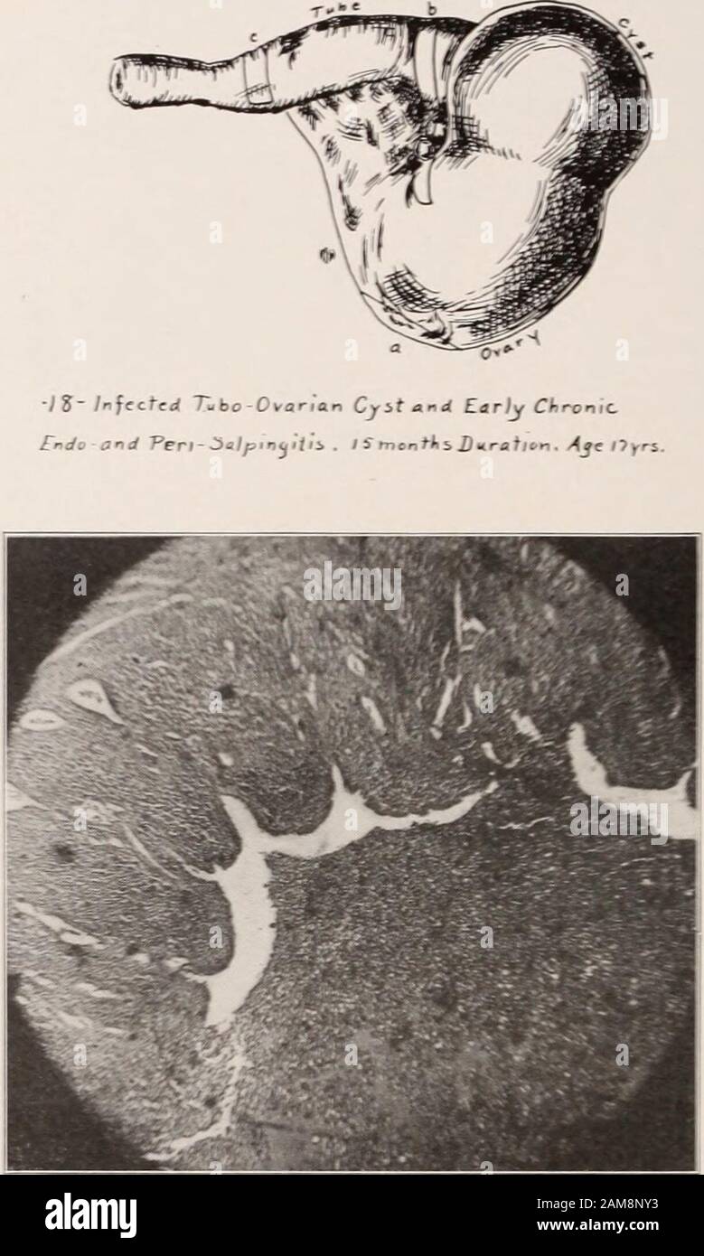 Transactions of the American Association of Obstetricians and ...