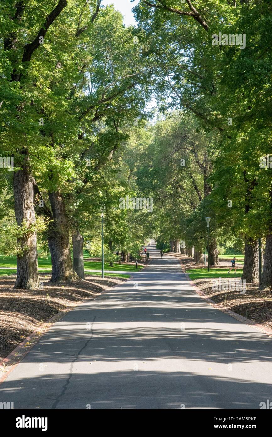 Shaded walkway hi-res stock photography and images - Alamy