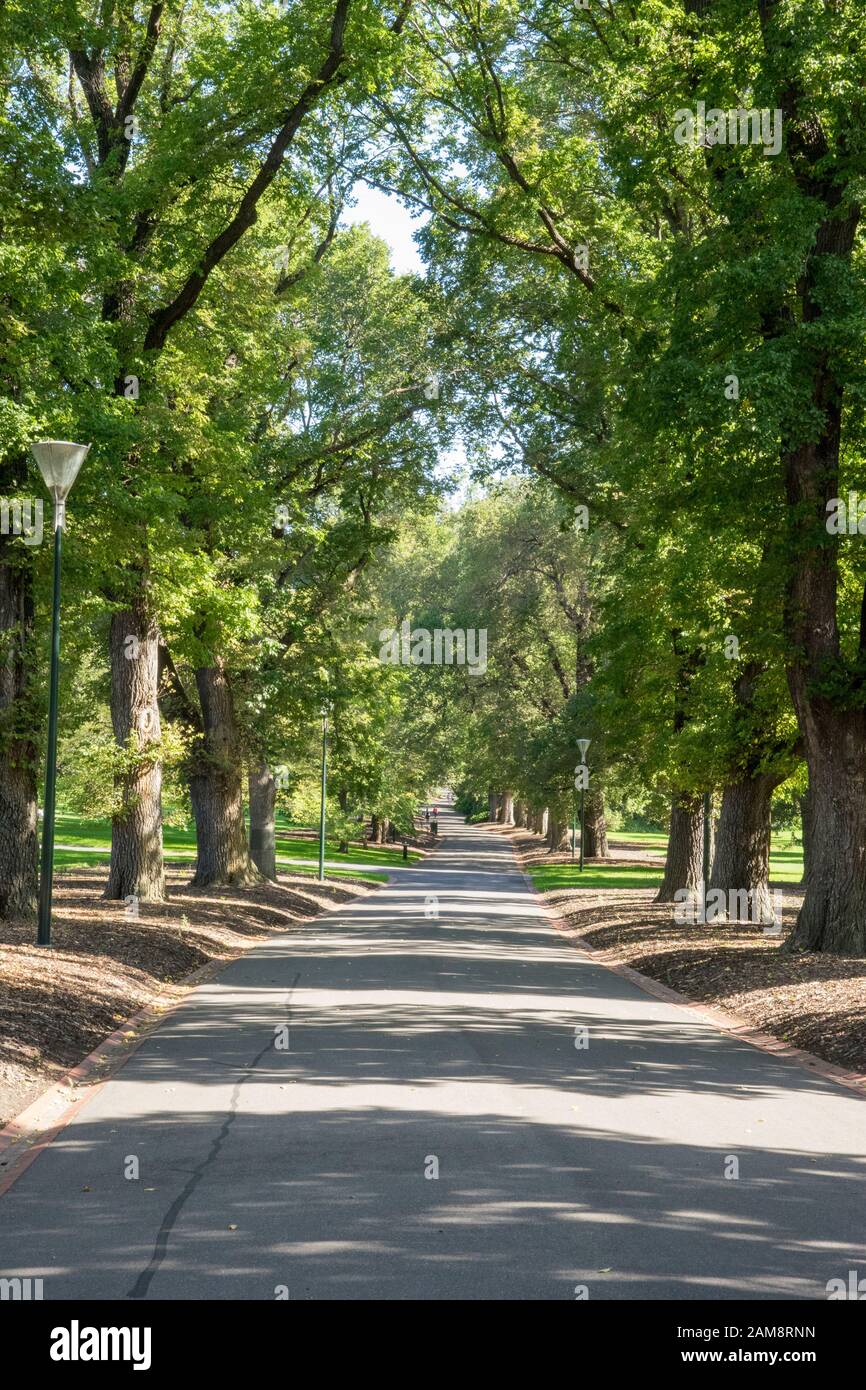 Shaded walkway hi-res stock photography and images - Alamy