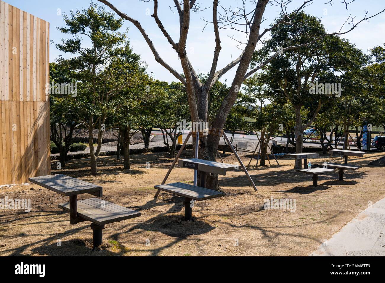 Jeju, Korea, 8th, March, 2019. The outdoor rest area in Osulloc Tea ...