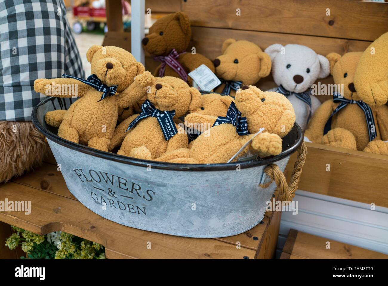 Jeju, Korea, 8th, March, 2019. Interior shot of Teddy Bear Museum gift ...