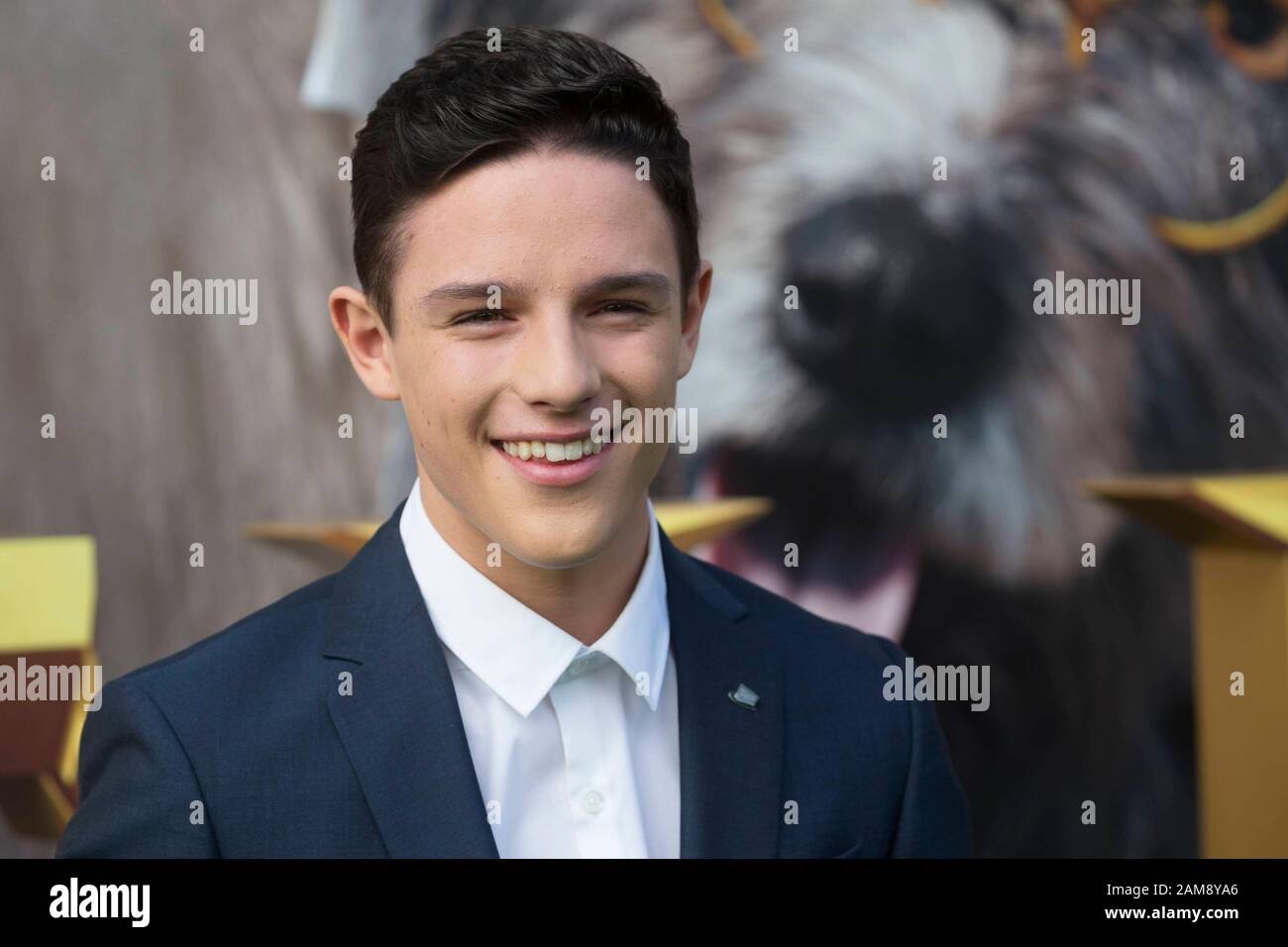 Harry Collett attends the premiere of 'Dolittle' at Regency Village ...