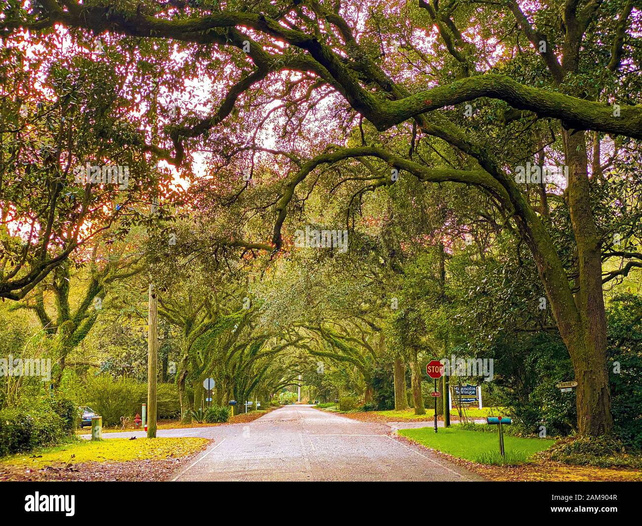 Magnolia springs historical hi-res stock photography and images - Alamy