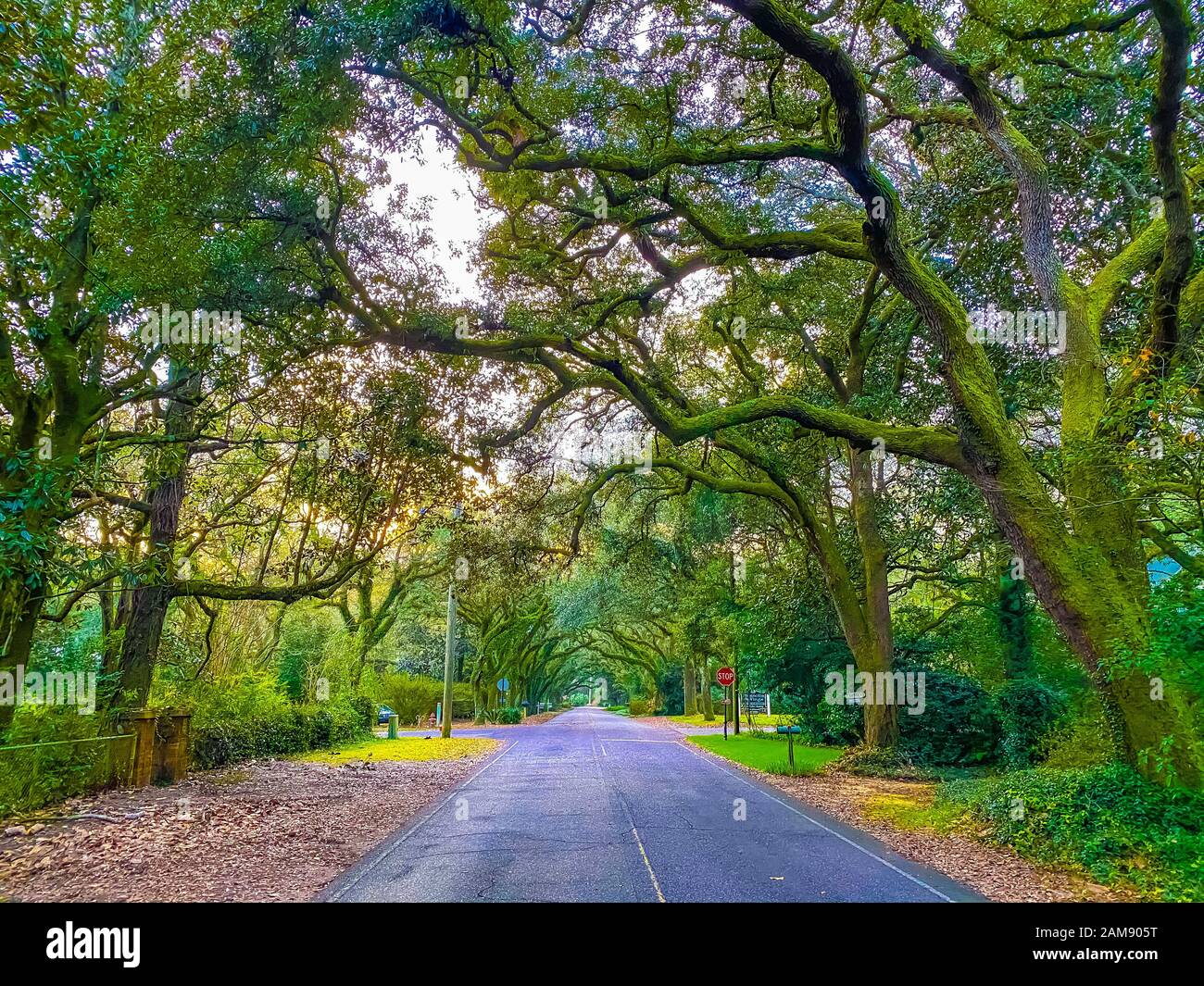 Magnolia springs historical hi-res stock photography and images - Alamy