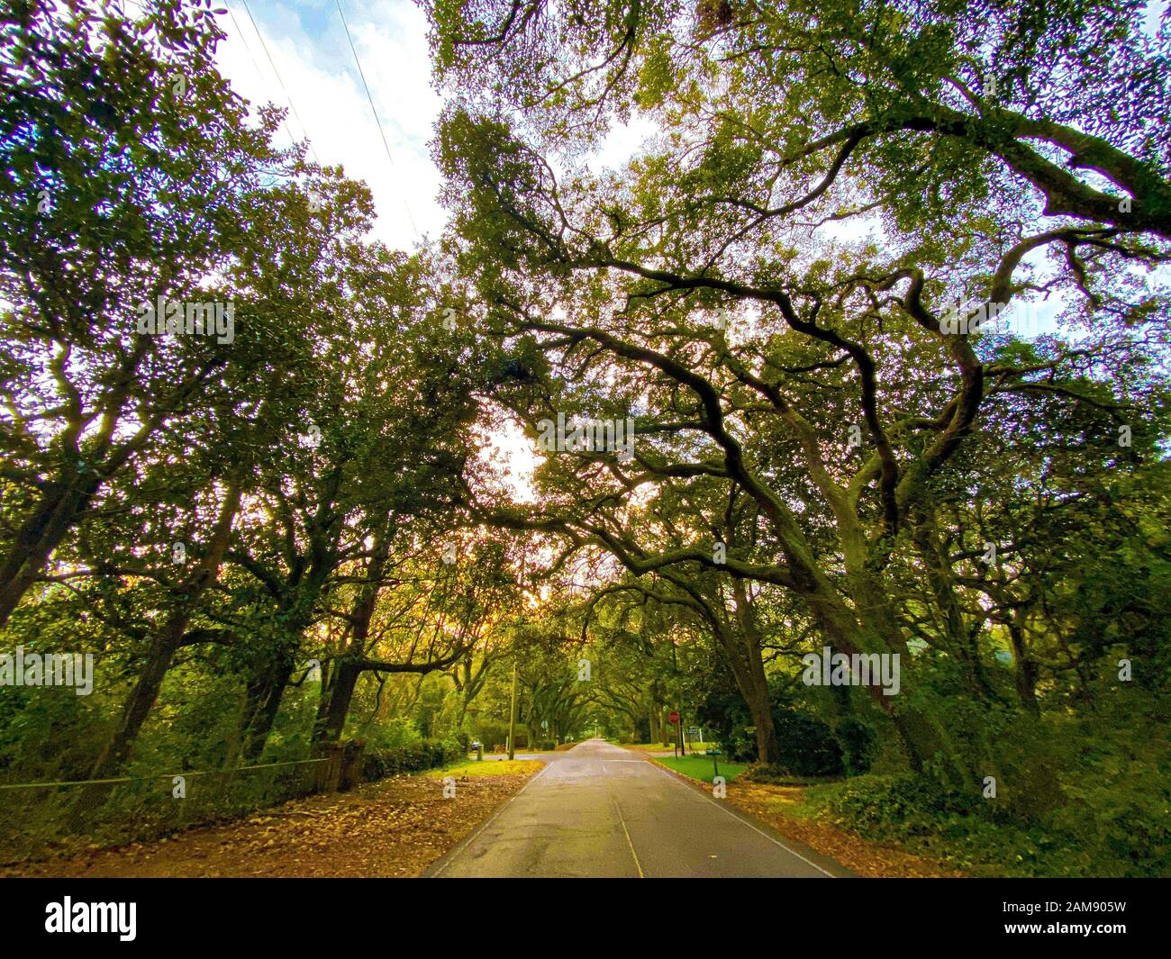 Sun set time on Oak Street , Magnolia Springs , Alabama USA Stock Photo ...
