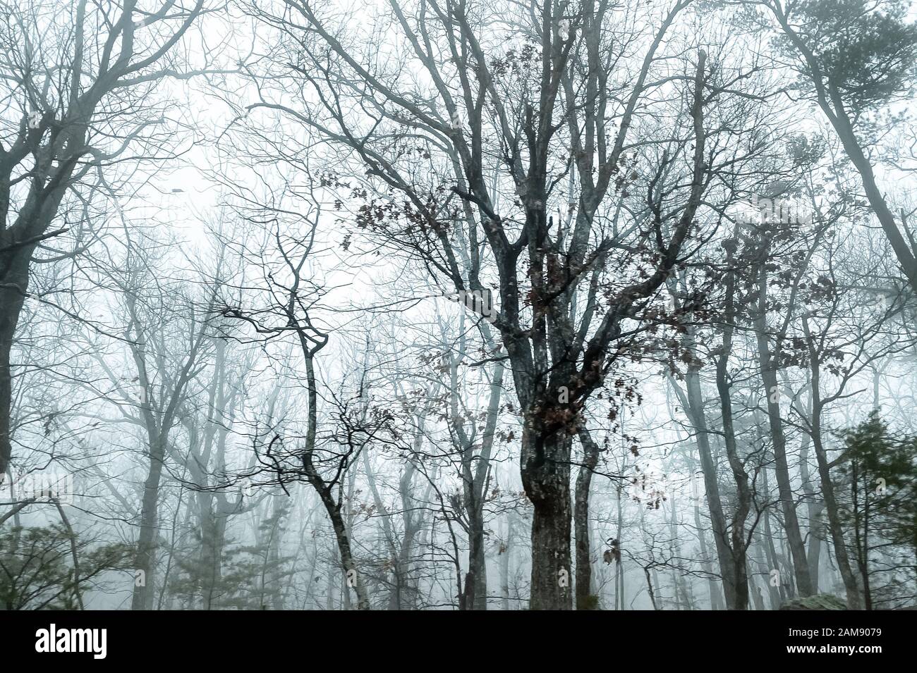 Cheahastatepark High Resolution Stock Photography and Images - Alamy