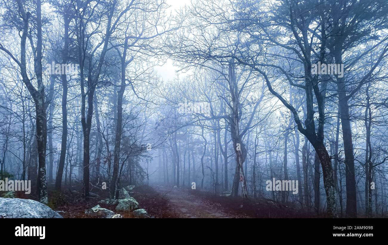 Cheahastatepark hi-res stock photography and images - Alamy