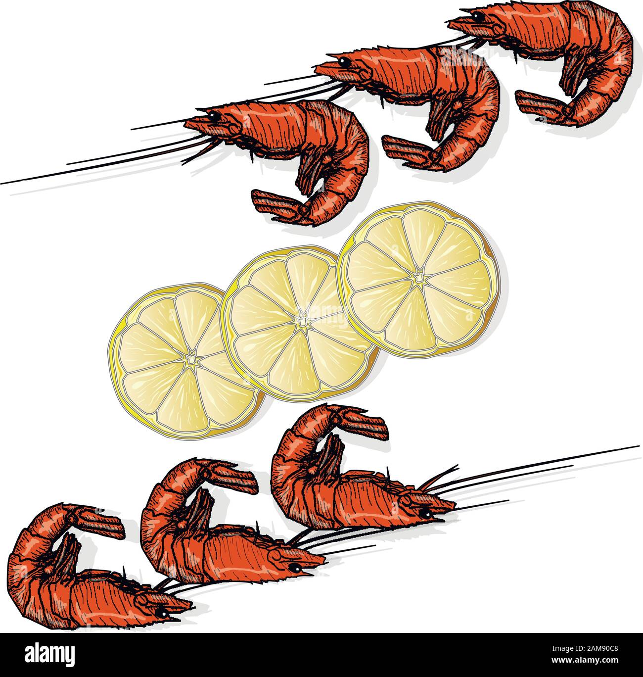 Red cooked prawn or tiger shrimp vector illustration isolated on white ...