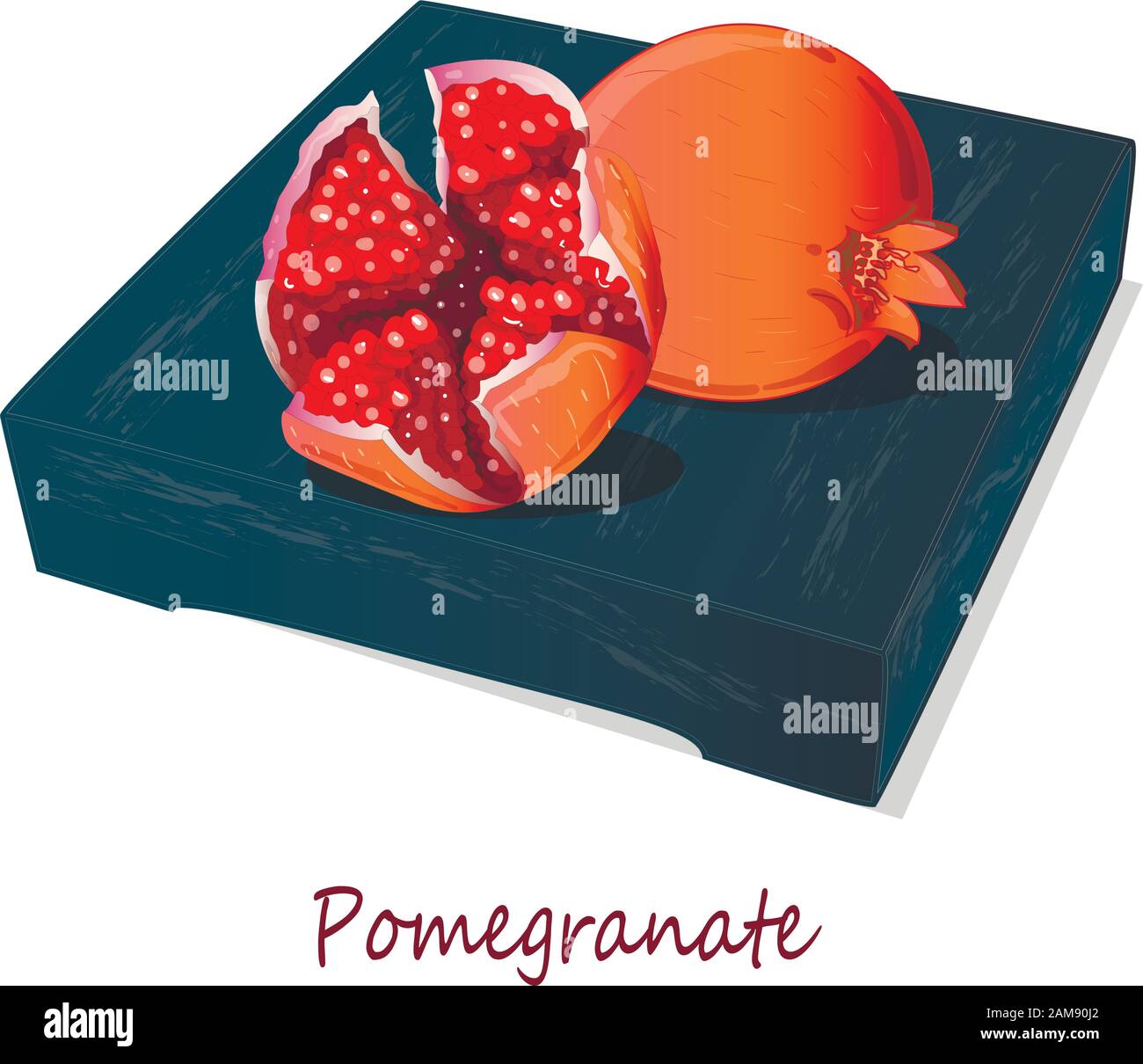 Pomegranate hand drown vector illustration isolated on white background ...