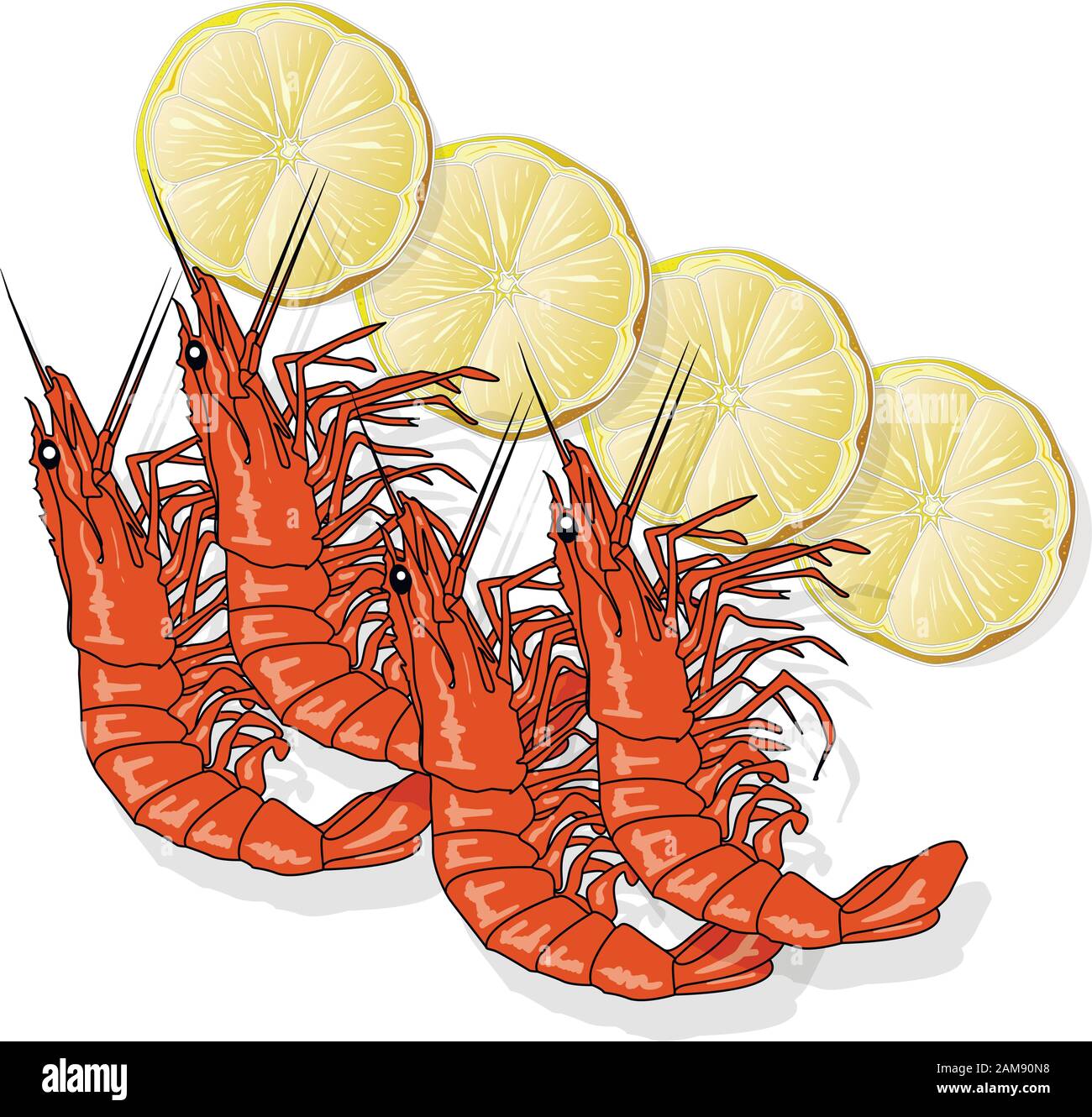 Red cooked prawn or tiger shrimp vector illustration isolated on white ...