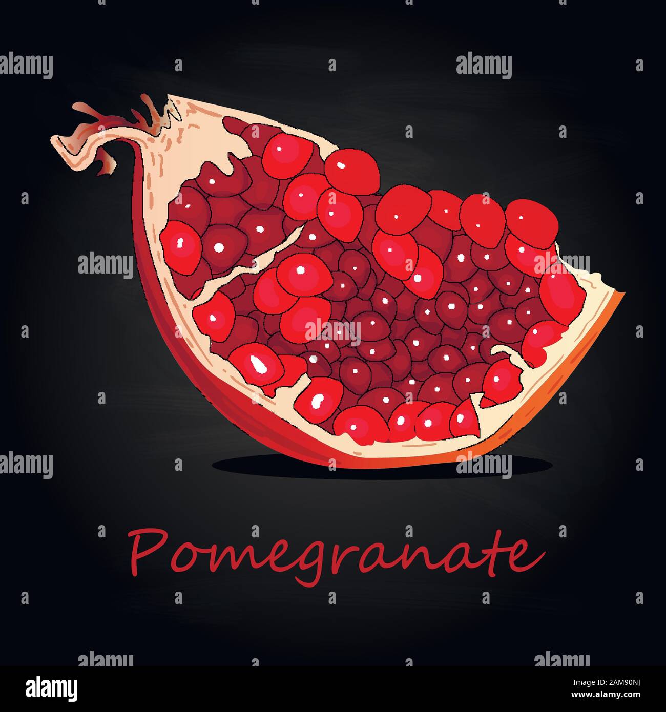 Pomegranate hand drown vector illustration isolated on black background ...