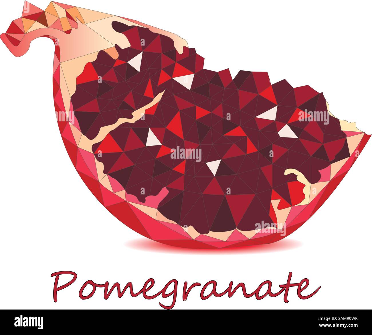 Pomegranate hand drown vector illustration isolated on white background ...