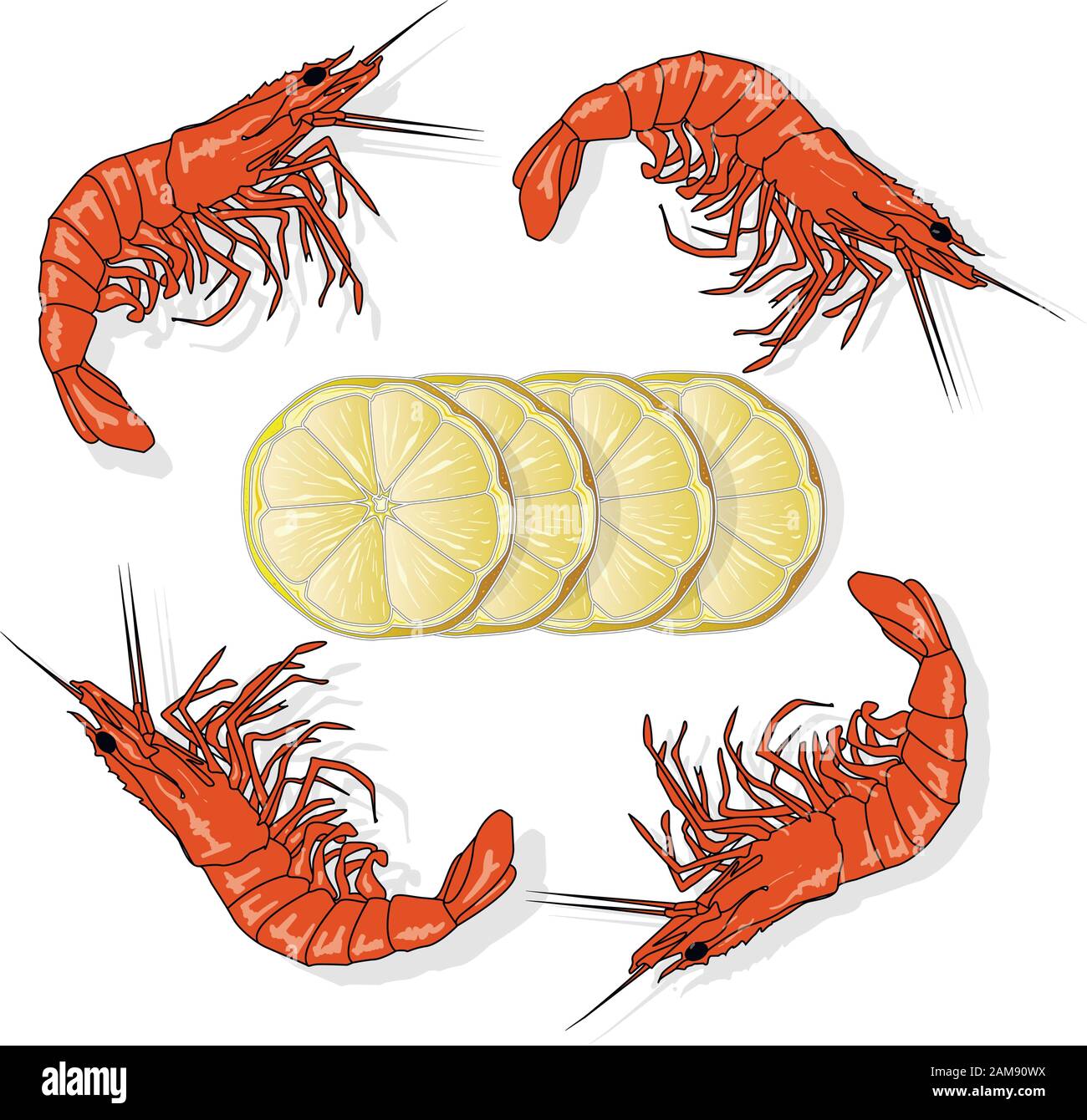 Red cooked prawn or tiger shrimp vector illustration isolated on white ...